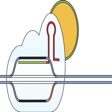Dead Cas9 Visualisation Figure Science Figures