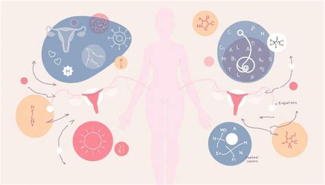 Pcos Impact On Libido Can It Affect Sex Drive