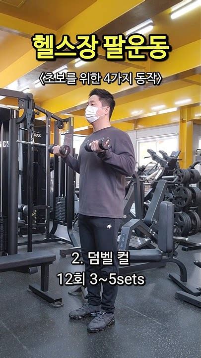 헬스장 팔운동 4가지 동작 팔운동 이두운동 삼두운동 Youtube