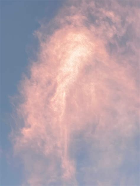 The Queen Of Goodbye Reprised By Jane Whimsy And Pique