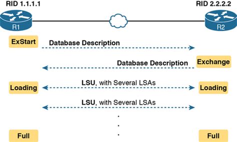 Chapter 19 Understanding Ospf Concepts Flashcards Quizlet