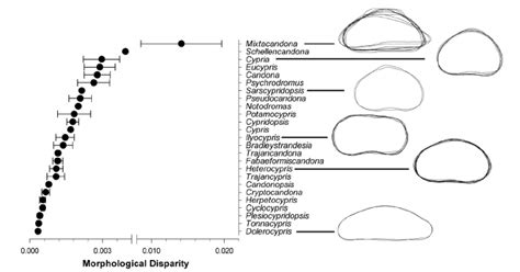 Estimates Of Morphological Disparity Within Cypridoidean Genera Only Download Scientific