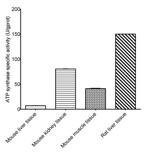 Mitochondrial Complex V Activity Assay Kit Colorimetric Nbp3 25842 By Novus Part Of Bio Techne