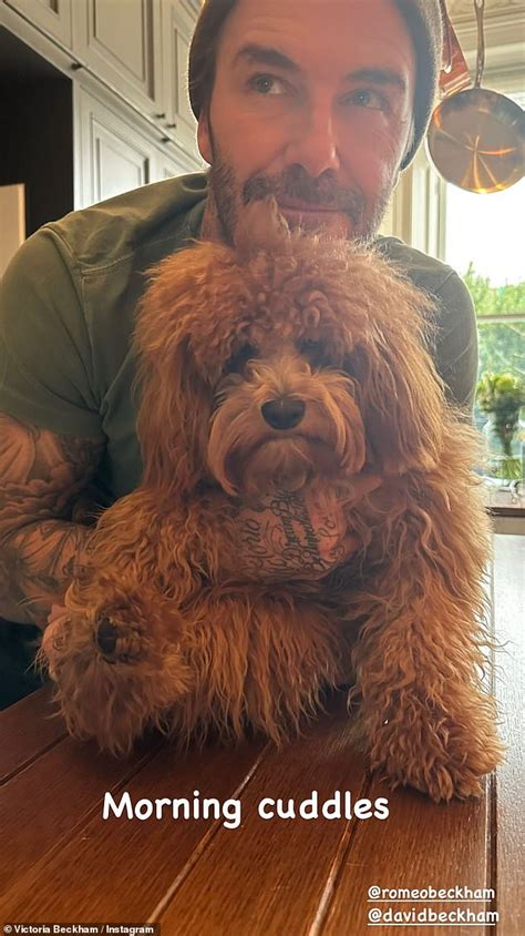 Victoria Beckham Shares Adorable Snap Of David Cosying Up To Their Fluffy Pooch Simba Daily