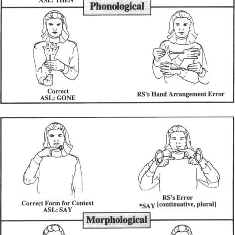 A Simplified Example Of Spatial Mapping In ASL Note The Topographic Download Scientific