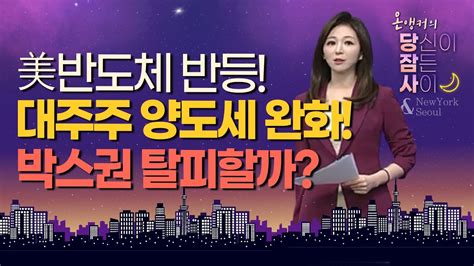 온앵커의 당잠사 美반도체 반등 대주주 양도세 완화 박스권 탈피할까 머니투데이방송 증시 증권 Youtube