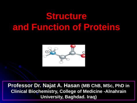 PDF Structure And Function Of Protein