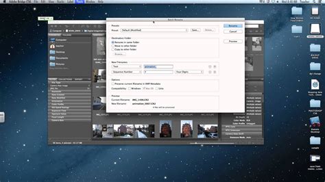 batch rename adobe bridge cs6 adaceto
