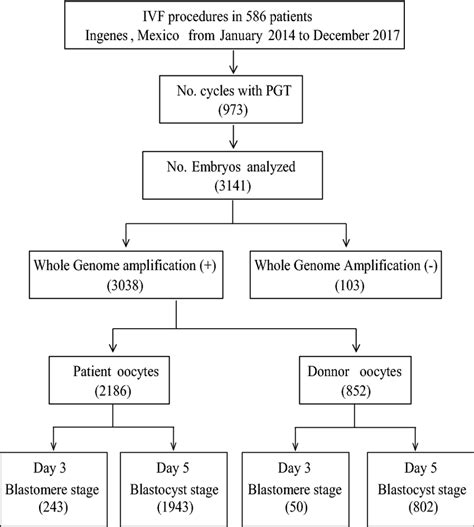 flow chart of embryo selection download scientific diagram
