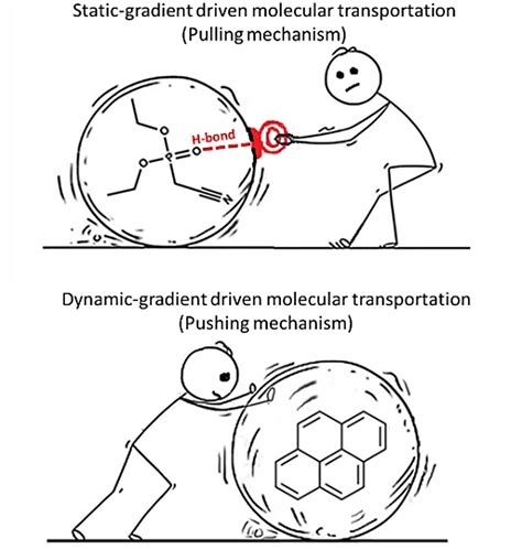Publications Evans Group Dynamic And Functional Polymers