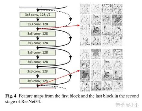 CNN九GhostNet v 知乎