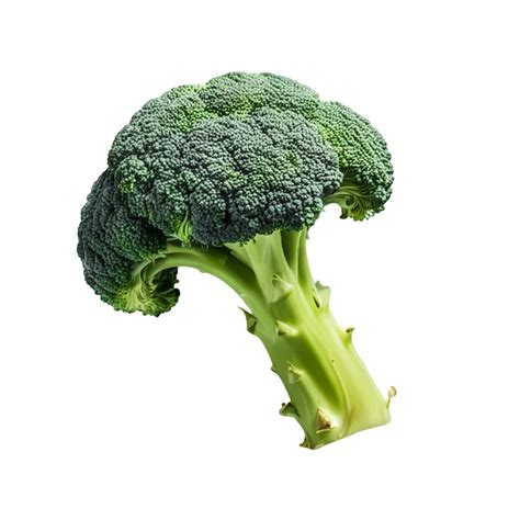 Raw Brocolli Vegetable 52933688 Png