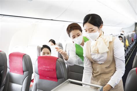 배재대 항공운항과 학생들 티웨이 항공 타고 비행 실습 나무뉴스