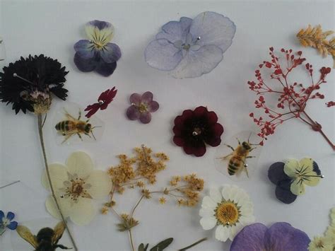 Assorted Dried Flowers For Elegant Home Decor