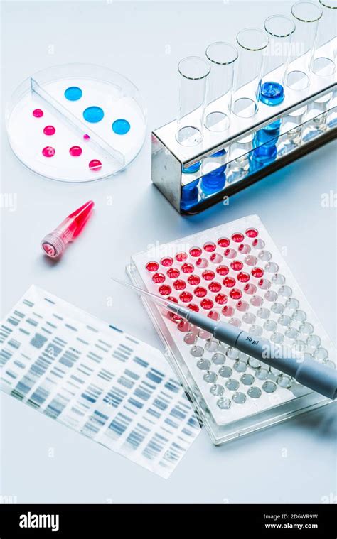 Genetics Research Laboratory Stock Photo Alamy