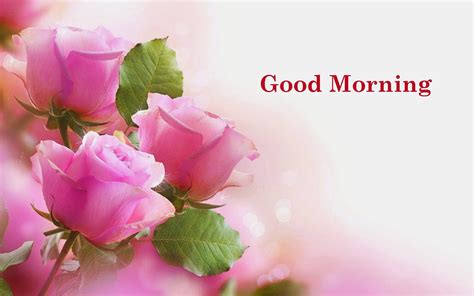 Good Morning Beautiful Wallpapers Wallpaper Cave
