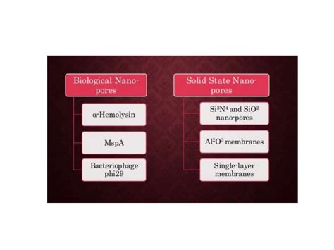 Lec 7 Methods Of Dna Sequencingpptx Amrk Ppt