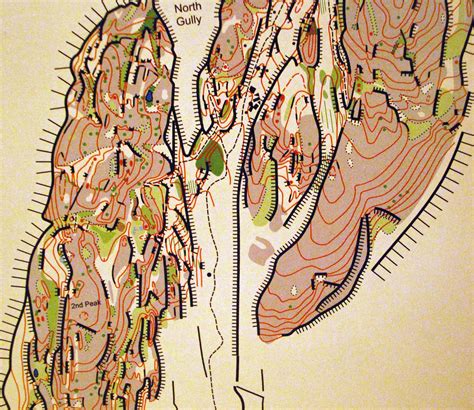 Section Of The Chief Orienteering Map