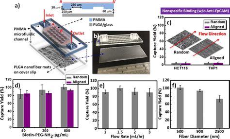 a schematic representation and b photograph of the microfluidic device