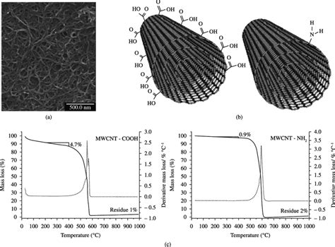 A Sem Image For The Mwcnt Nh 2 B Schematic Representation Of The Download Scientific