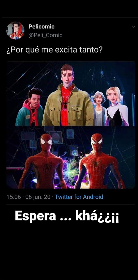 Spider Memes