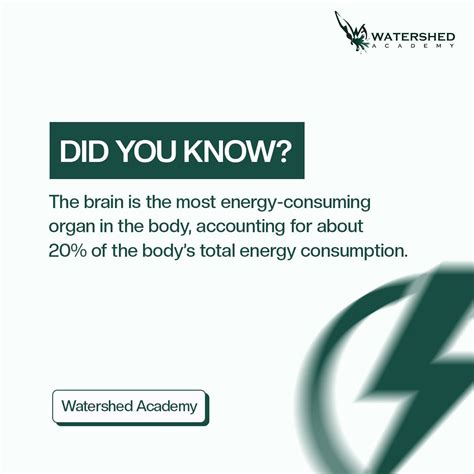 Watershed Academy Limited On Linkedin Didyouknow Friday Learning Elearning Education