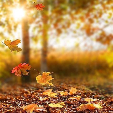 when does fall start