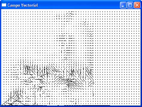 vector field obtained only with the optical flow method download