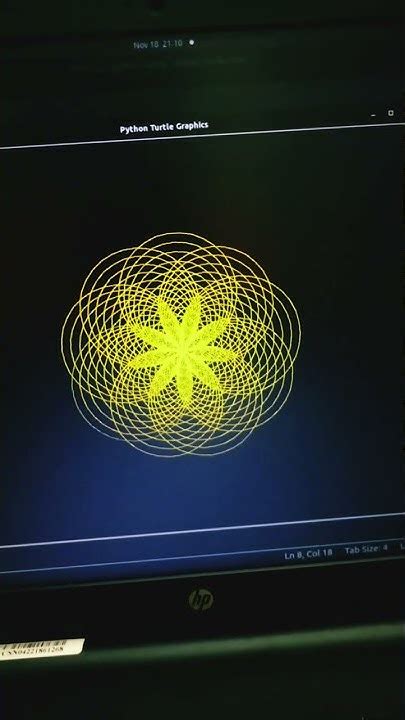 Python Turtle Python Pythonprogramming Pythonturtle Coder Pythonturtlegraphics