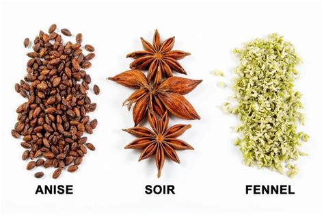 Anise Meaning Botanical Definition Historical Uses And Spice Comparisons