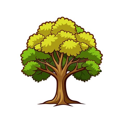 English Elm Tree Graphic Stock Illustrations 6 English Elm Tree Graphic Stock Illustrations