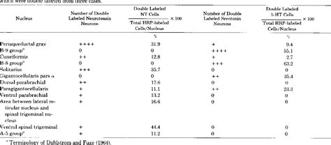 Nucleus Raphe Magnus Semantic Scholar