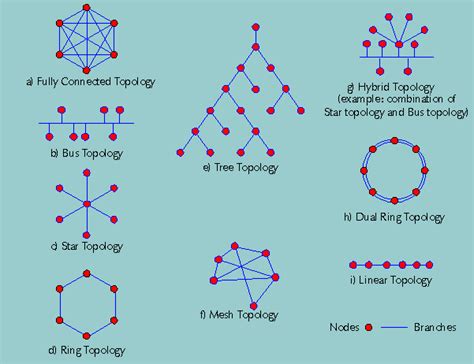the actually existing internet mapping network topology the autonomy institute