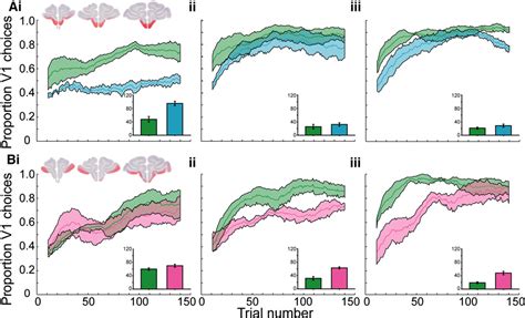 Figure 4 From Frontal Cortex And Reward Guided Learning And Decision