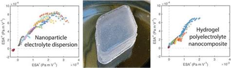 锂皂石掺杂的聚（丙烯酸 共 丙烯酰胺）水凝胶acs Applied Polymer Materials X Mol