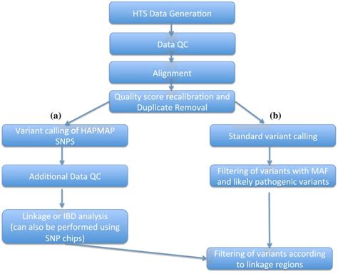 Dual Workflow For Hts Data Analysis That Takes Advantage Of Hapmap Snps