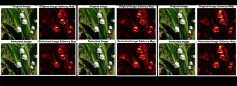 Visualizing Effects Of Different Regularization Terms Columns A B Download Scientific