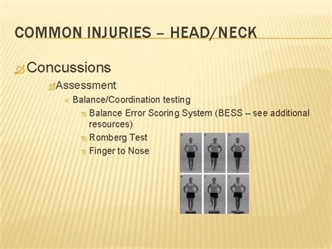 Head Neck Concussion Injuries Anatomy Of The Head