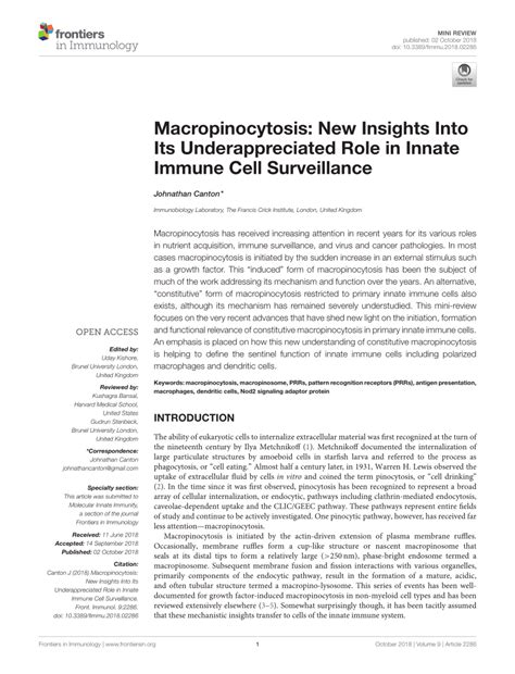 Pdf Macropinocytosis New Insights Into Its Underappreciated Role In Innate Immune Cell