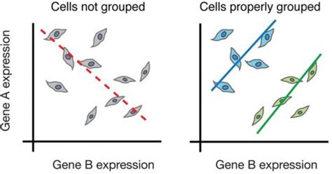 Introduction To Single Cell Rna Seq Introduction To Single Cell Rna Seq Archived
