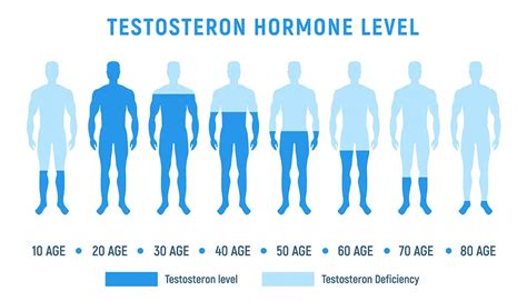 Menopause For Men Graph