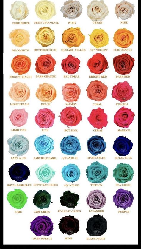 Rose Color Chart Rose Varieties Rose Flower Colors Flower Guide