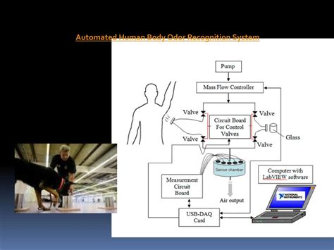 Ppt Unit 7 Organisational Systems Security Powerpoint Presentation Id 2382304
