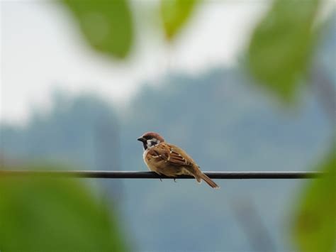 한국환경교육연구소