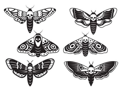 Beautiful Moths With Unique Wing Patterns Deathhawk Moth Ellies Moth