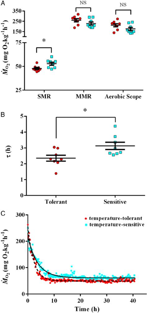 Temperature Tolerance Was Associated With Lower Standard Metabolic Rate
