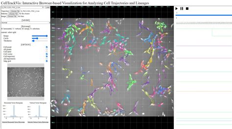 Example Cell Tracking Challenge Data Tutorial For CellTrackVis