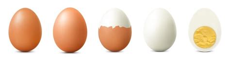 흰색 배경에 분리된 갈색 닭고기 달걀 질감 있는 전체 깨진 깨진 반 껍질을 벗긴 삶은 계란 하드보일드 계란 노른자 전체를 반으로 자른 계란 전면 보기 현실적인 3d 벡터
