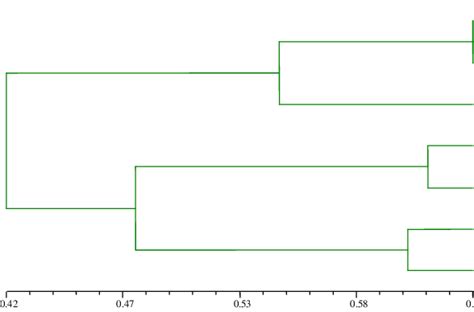 a dendrogram based on genetic similarities discriminated all the wheat