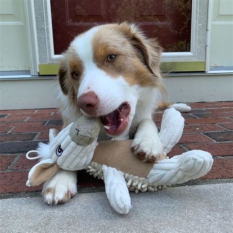 Auntie Erin And Auntie Mia Went To The Store And Surprised Me With A